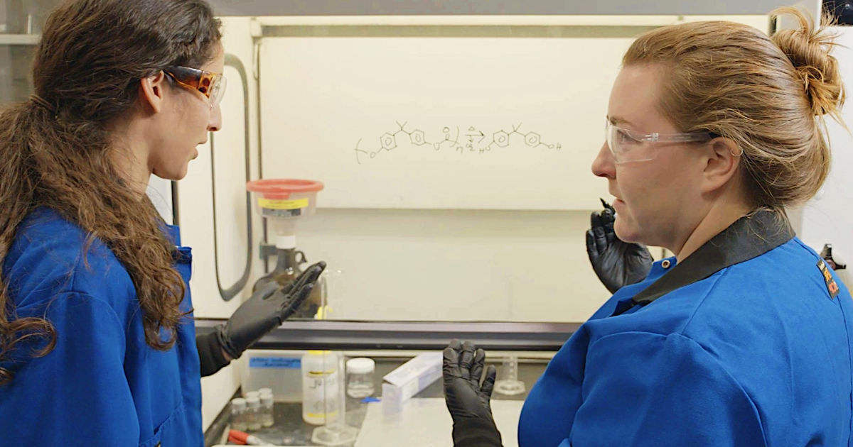 Forge Your Path | Exponent